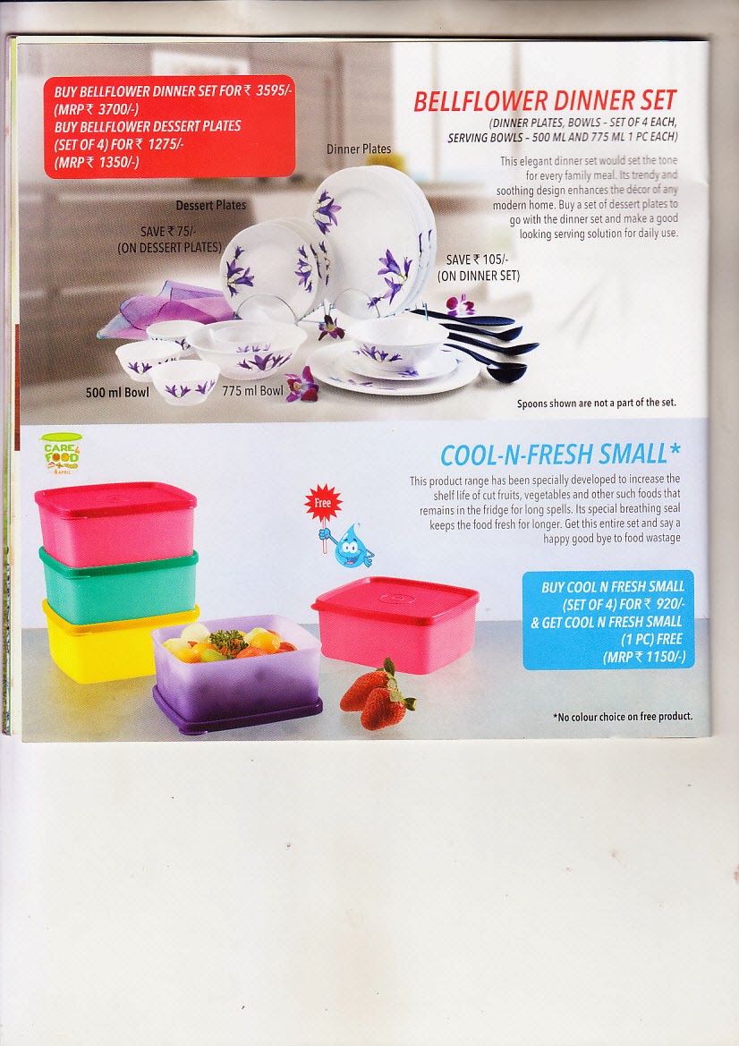 Tupperware Consultant