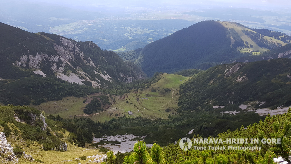 Narava hribi in gore: Košutna-Kompotela-Vrh Korena-Krvavec