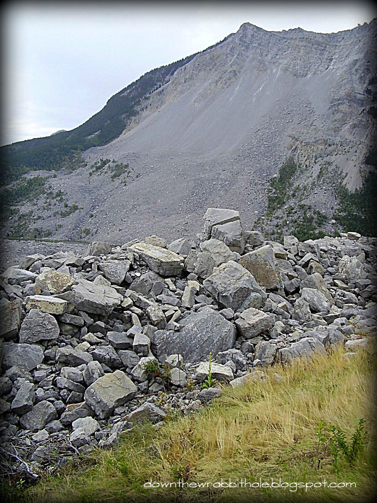 Down the Wrabbit Hole - The Travel Bucket List: Backyard Bucket List ...