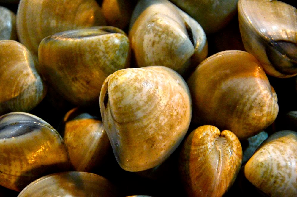 Blog Makanan di Sabah: Makanan Terkenal Di Sabah | Rendang Ikan Yu Atau ...