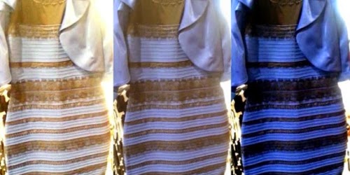 El Terminólogo: Azul y negro
