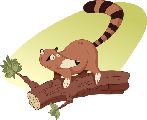 Federação Quati: Quatis Famosos