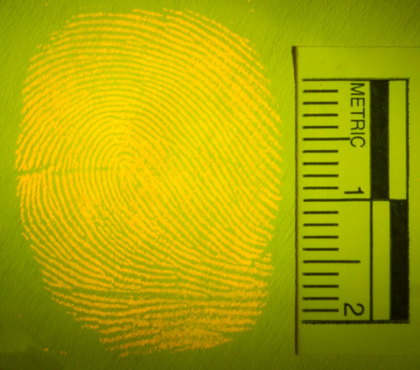 Law Web: How to appreciate Expert evidence of Fingerprint marks?