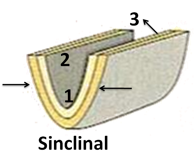 Ciências Naturais: Junho 2013