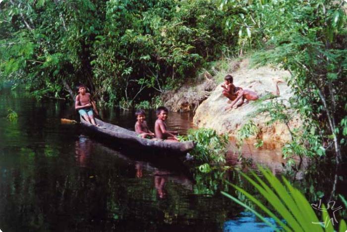 Musea: Exposición Makuna