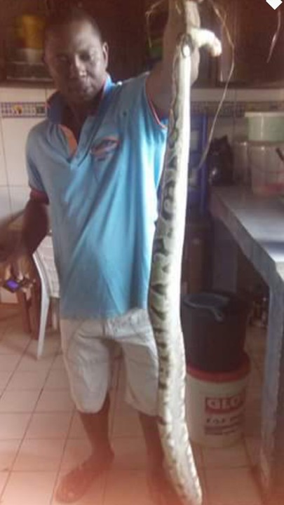 Erm, man caught a snake, killed it, cooked it and ate it with his ...