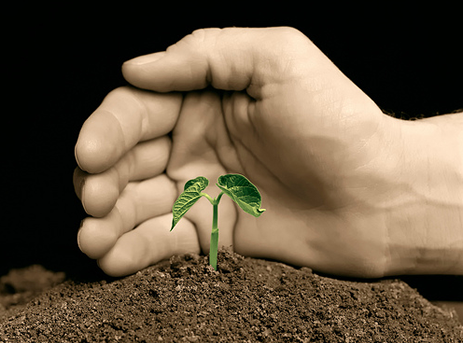 EL VALOR DE CADA DÍA : Labrar y Guardar