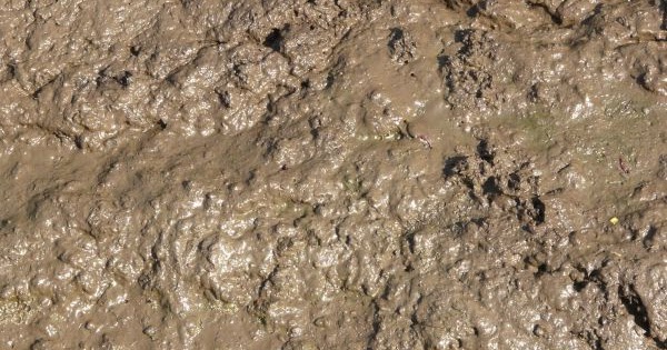 Finishing Well: Mud & Miracles