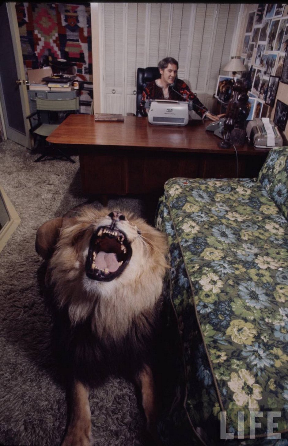 Incredible Photographs Capture Teenager Melanie Griffith and Her Family ...