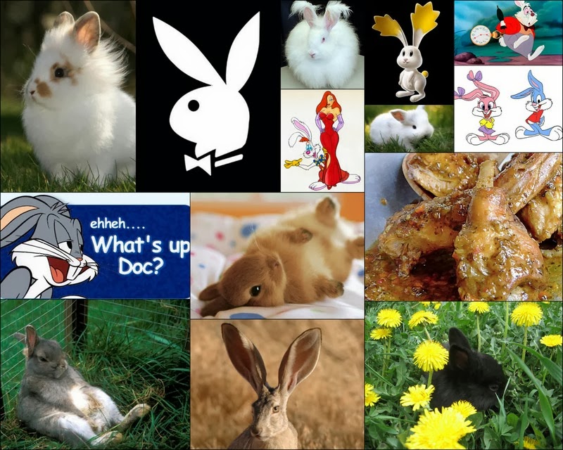 The Nikiverse: It's National Rabbit Day!