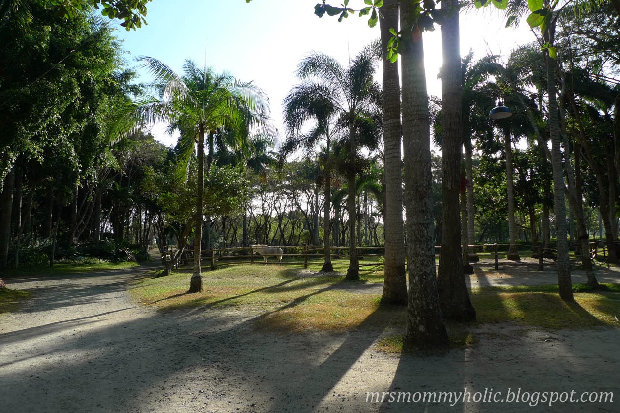 MrsMommyHolic: Field Trip at Sta. Elena Fun Farm
