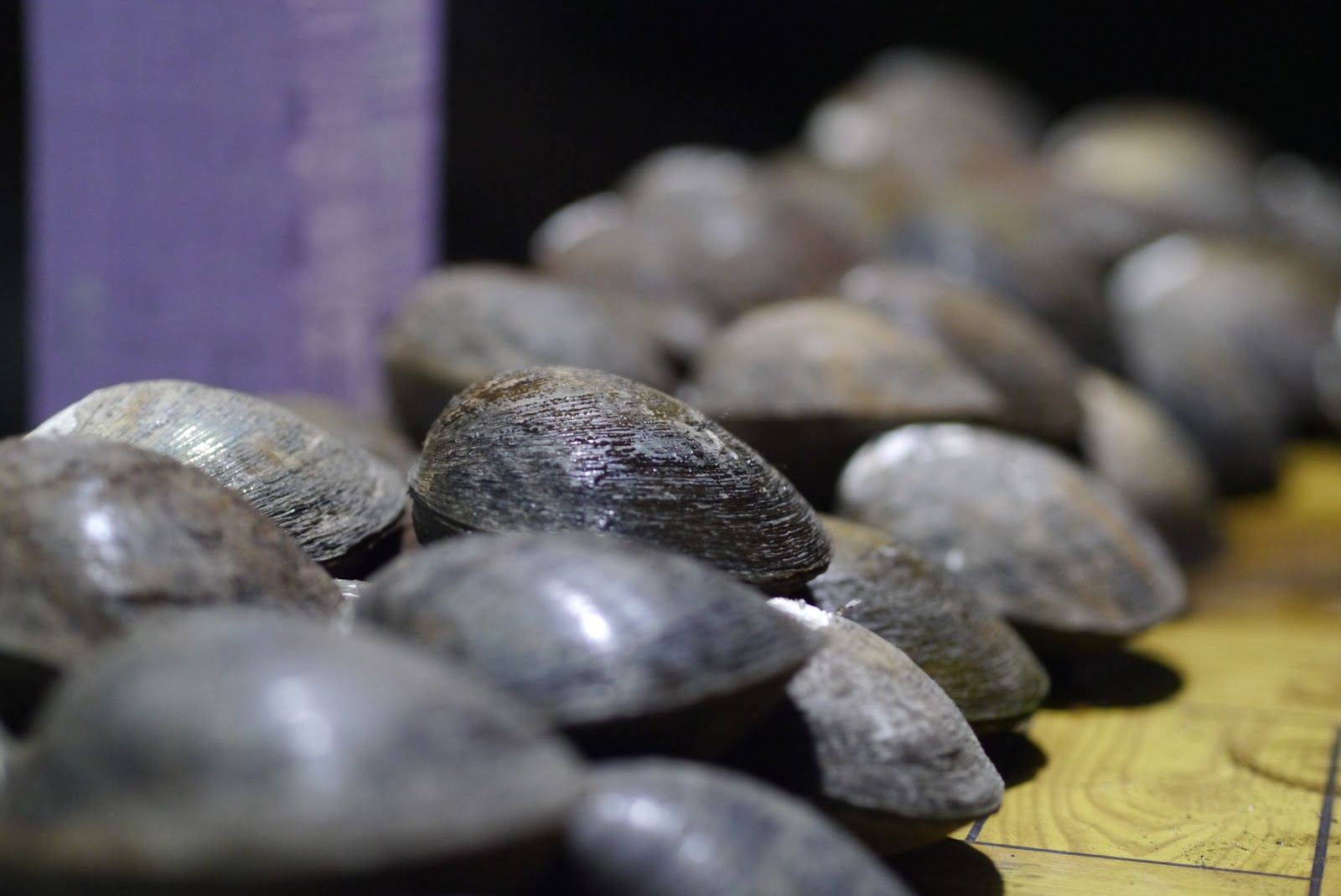 The Aquaculturists: 17/10/2017: Shellfish aquaculture development ...