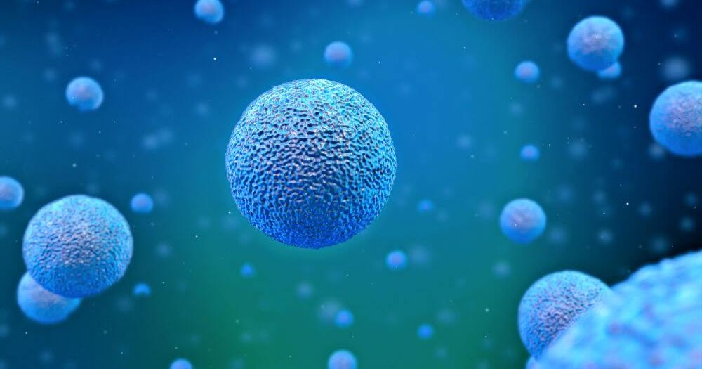 Black Zero: The Ugly Cell