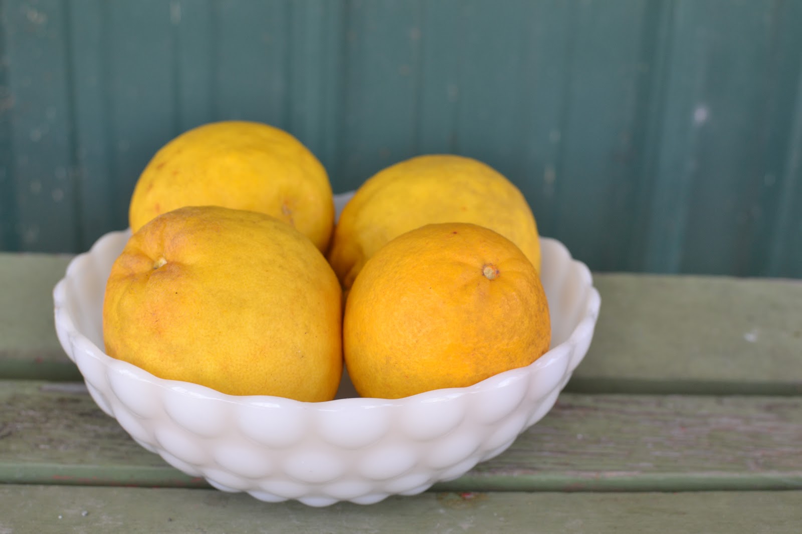 Our Neck of the Woods: Ponderosa Lemons