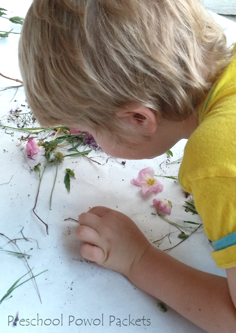 Preschool Botany Class: Day 1 | Preschool Powol Packets