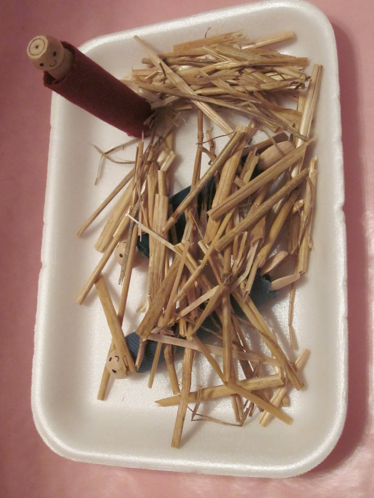 IDEAS UNLIMITED: Rahab Hides Spies Story-on-a-Tray Craft