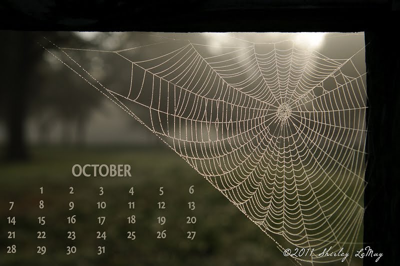 shirley - behind the lens: Free Download - October 2012 Calendar