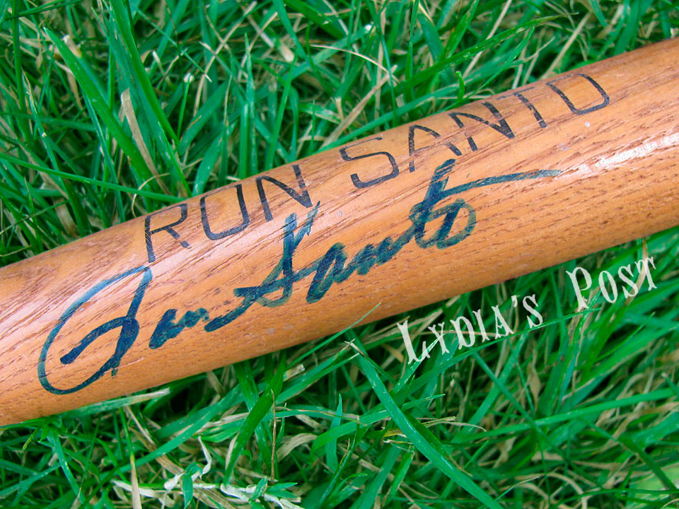 No. 10 | Lydia's Post