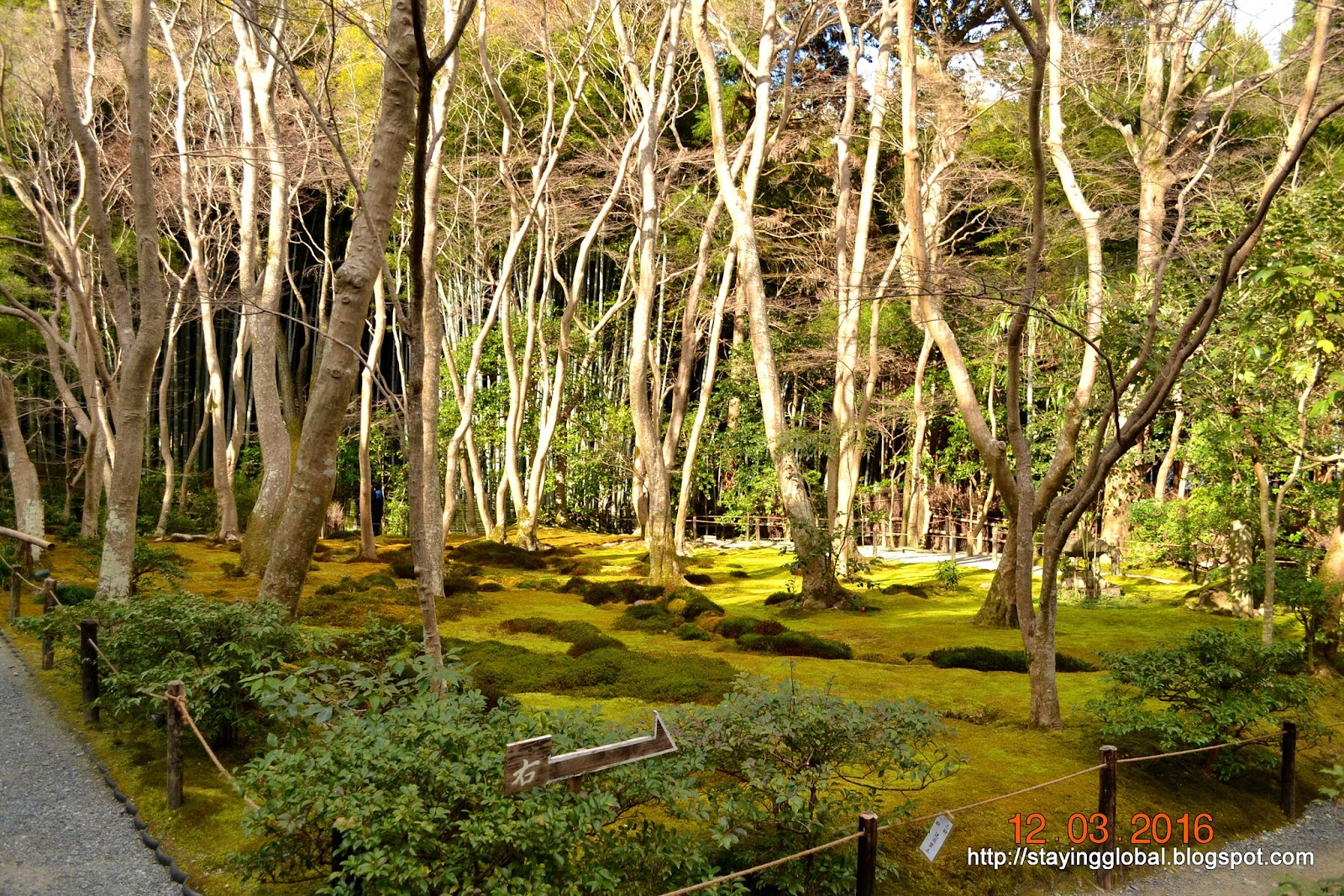 A Global Life: Kyoto - Gioji Temple