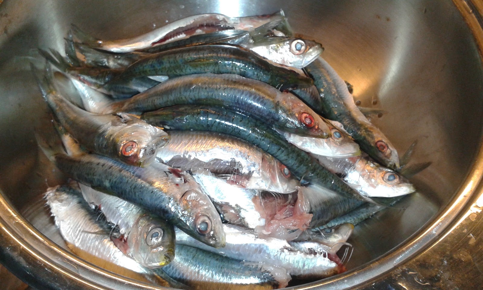 La cuisine de Mamylène: ANCHOIS AU SEL puis, à L'HUILE
