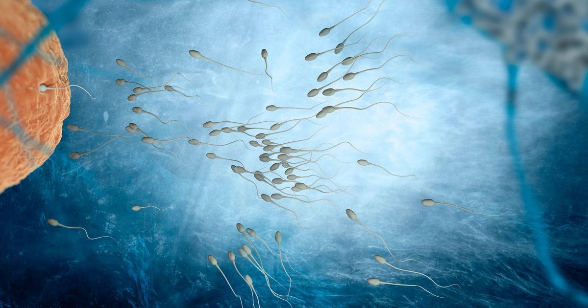 10 tips for Successful artificial insemination