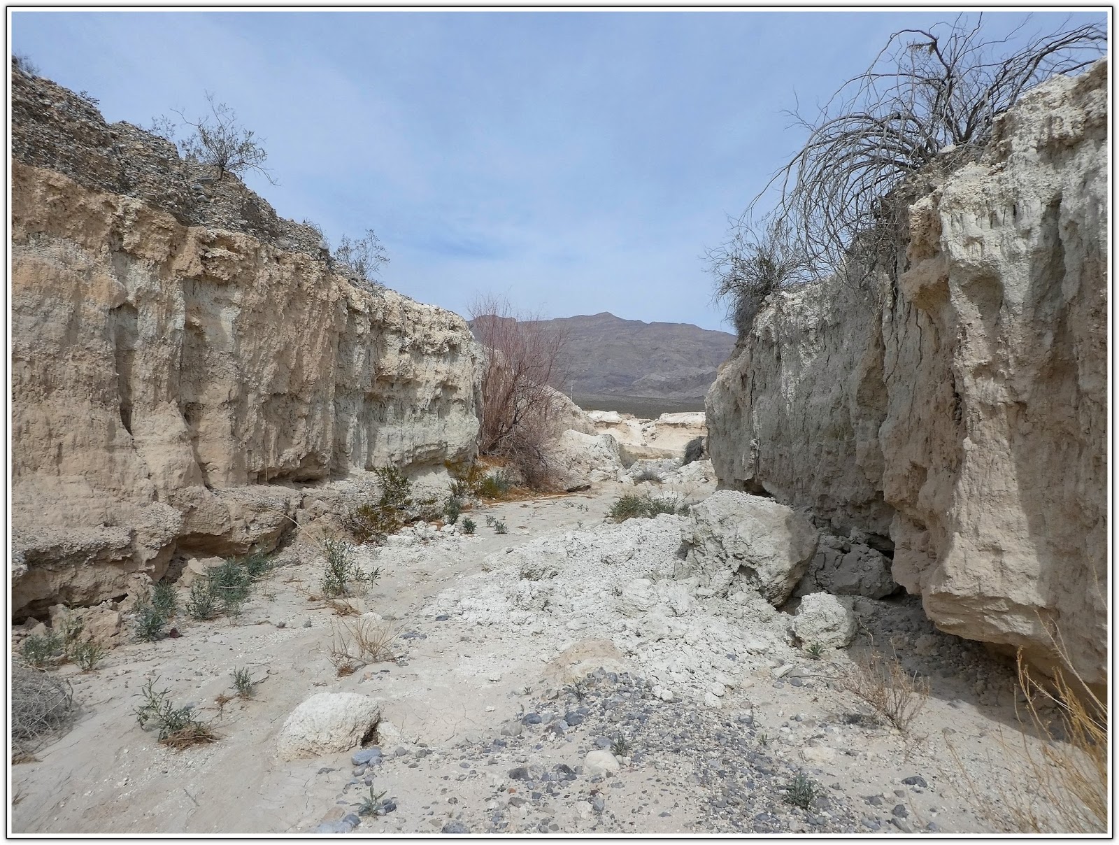Ken's Photo Gallery: Tule Springs Fossil Beds National Monument (TUSK ...