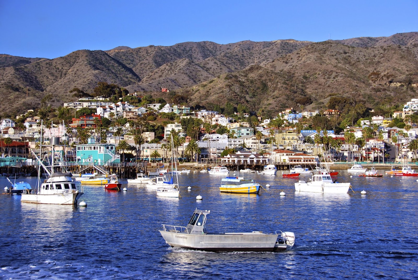 Travels with L (and sometimes Z & F): Avalon, Catalina Island