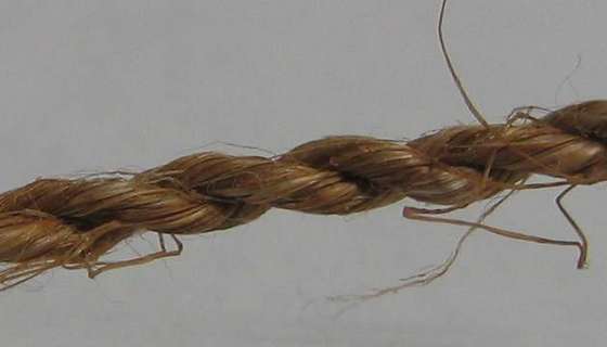 LISTEN: 111. The Palm Rope