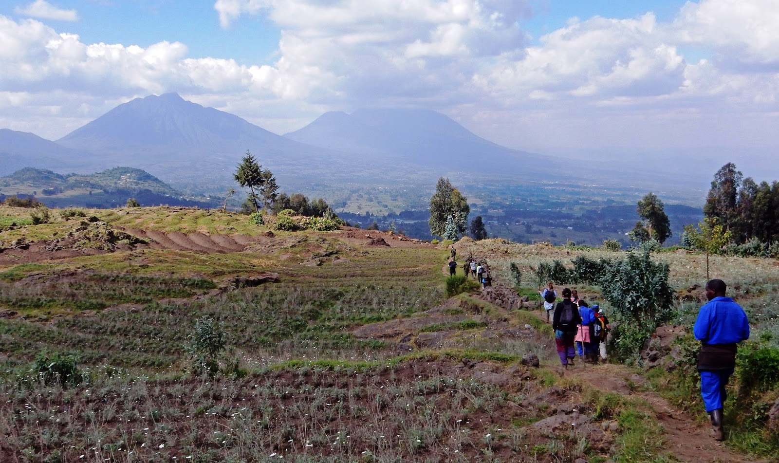 the viewing deck: Rwanda's Mt. Bisoke Crater Lake Day-Hike (3,711masl)