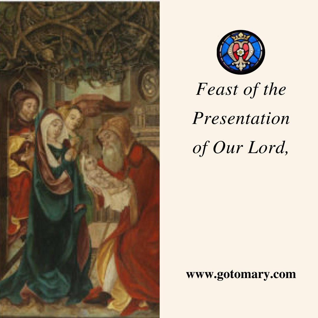 Feast of the Presentation of Our Lord, or Candlemas - Go to Mary Blog