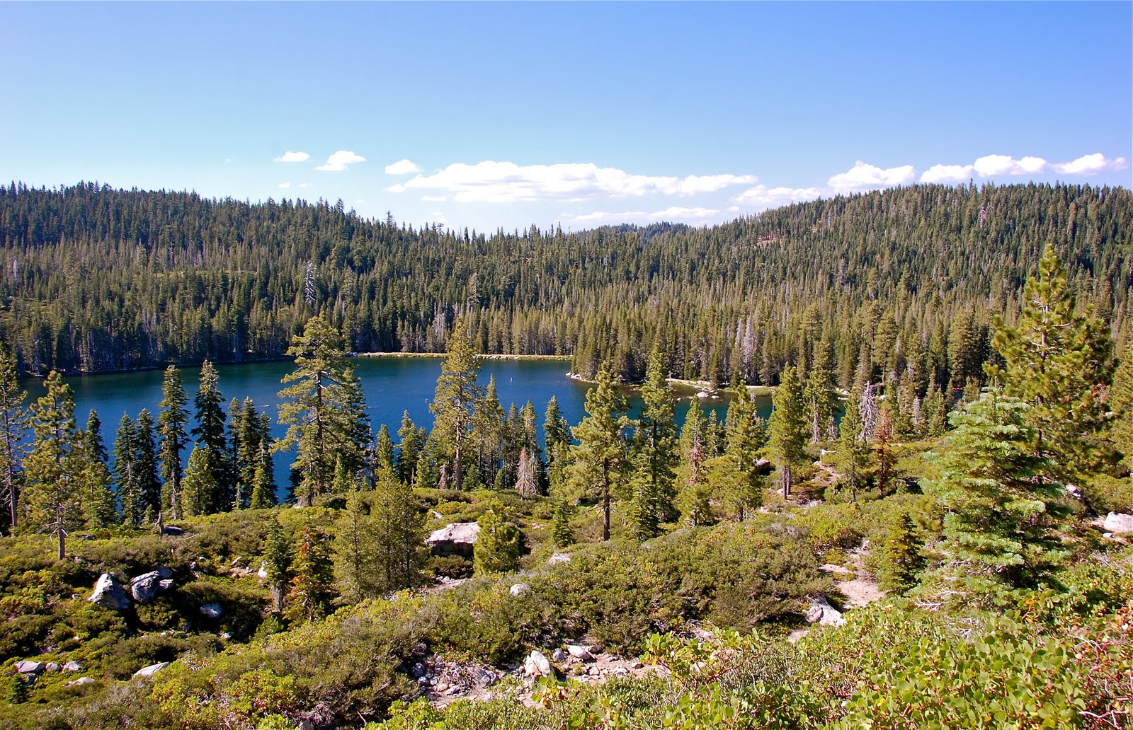 Travels with L (and sometimes Z & F): Bucks Lake, CA