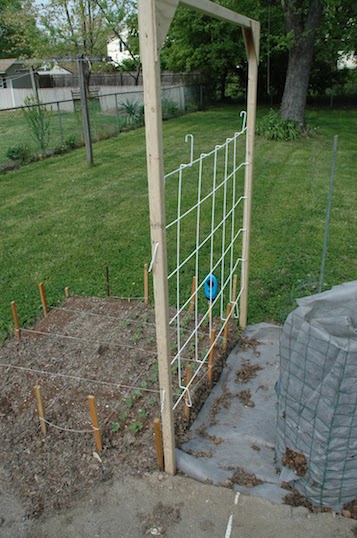 Photography Damentions: Using Remesh for a Trellis