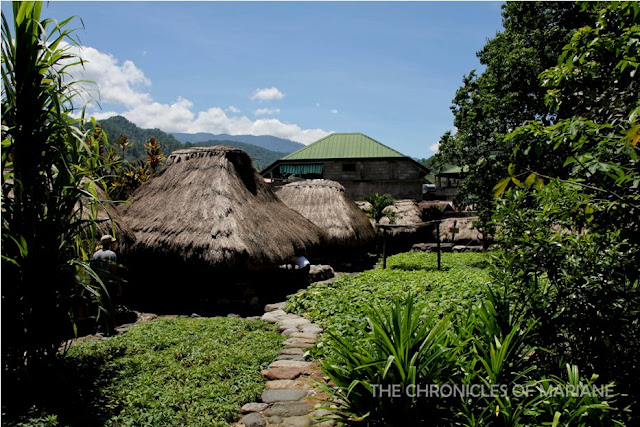 The Majestic Banaue Rice Terraces and Bontoc Museum | The Chronicles of ...