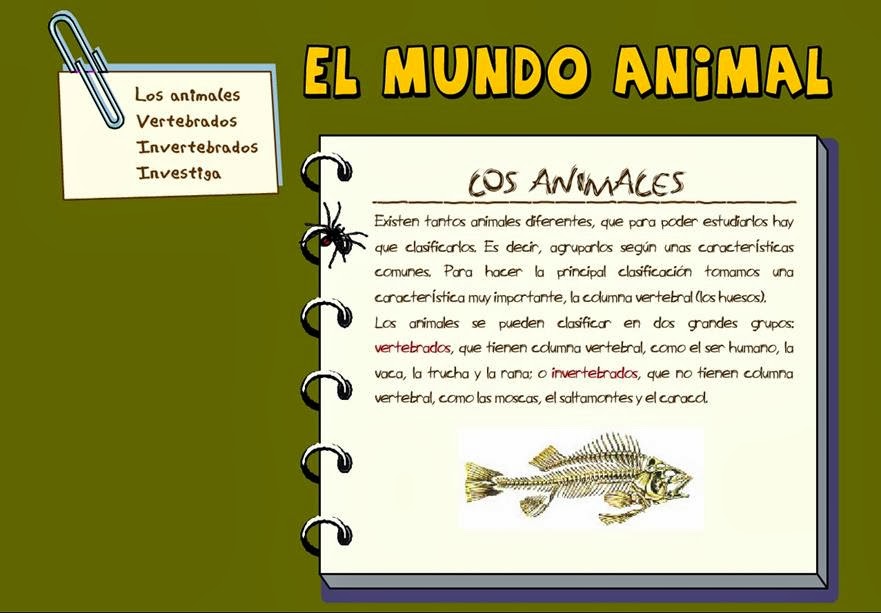 El mundo animal - CEIP José Calderón