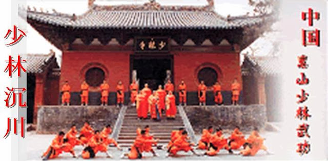 SHAOLIN SHEN CHUAN 小森林精神拳头