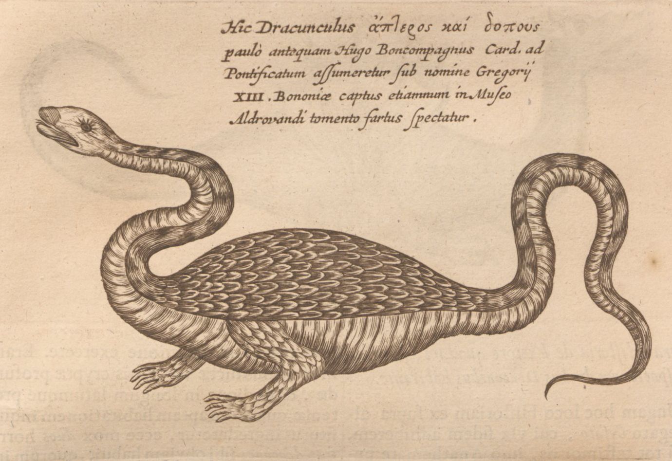 A New Chronology: Roman depictions of dragons (in chronological order)