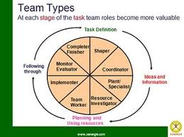 Living in Groups: Team Roles - Which of the 9 Lives do you prefer?