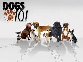 Dogs 101