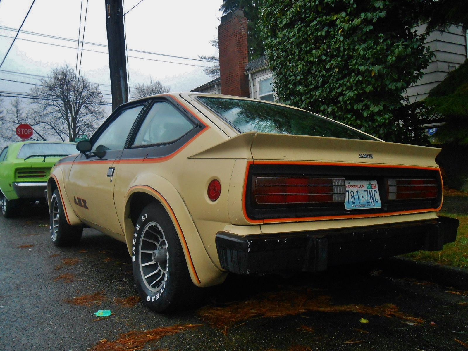 Seattle's Parked Cars: 1979 AMC Spirit AMX