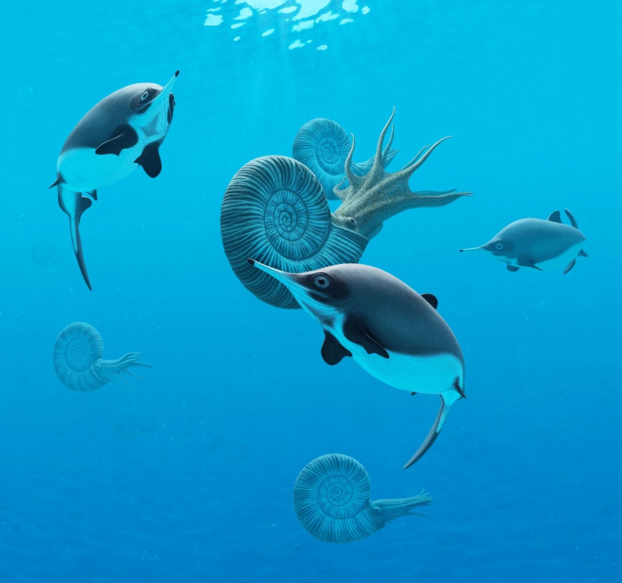 Species New to Science: [Paleontology • 2020] Revision of ...