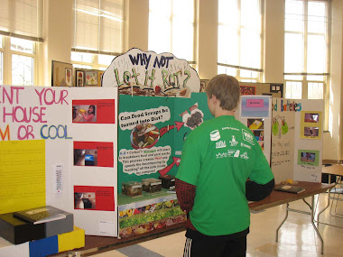 BELIEVE IN GREEN EXPO....................: Girl Scout Posters to protect