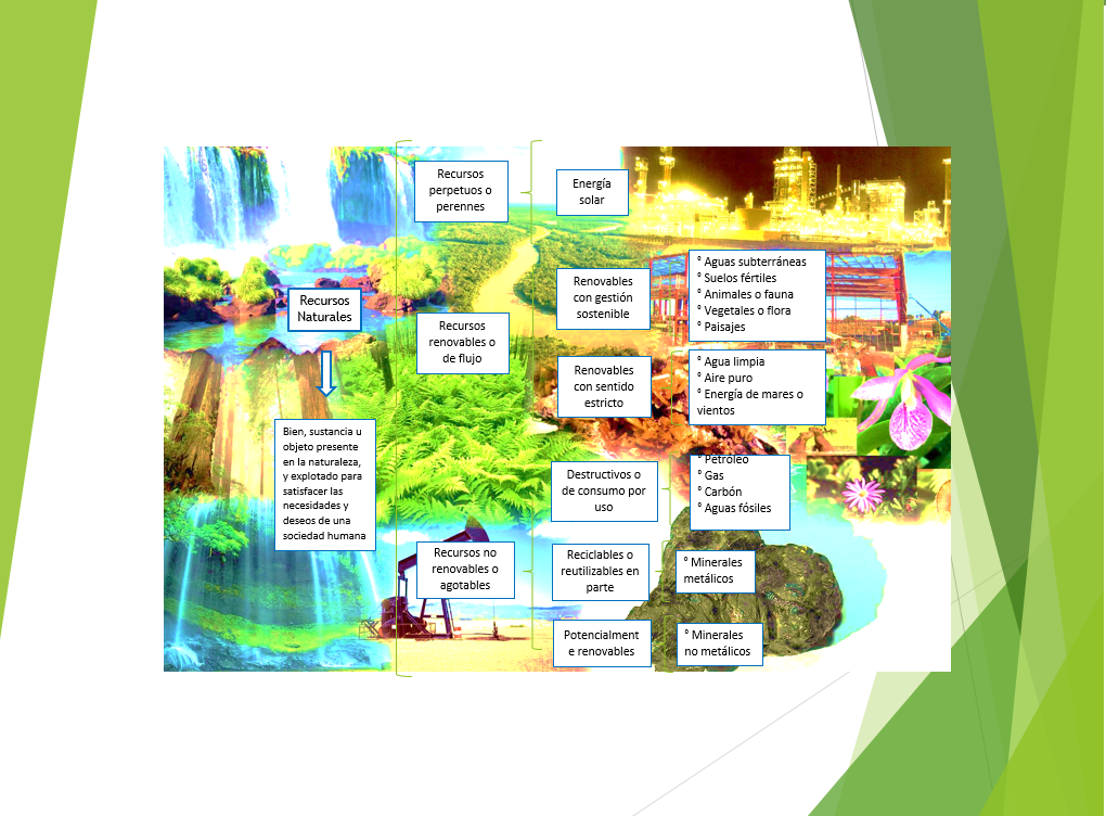 Ecologia: La ecología y los Recursos Naturales