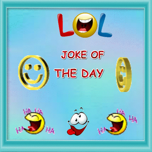 3835991_a9ccc.gif (500×499) | Joke of the day, Jokes, Lol