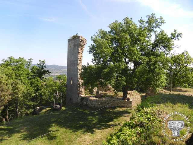 LA FRANCE MEDIEVALE: SABRAN (30) - Château-fort