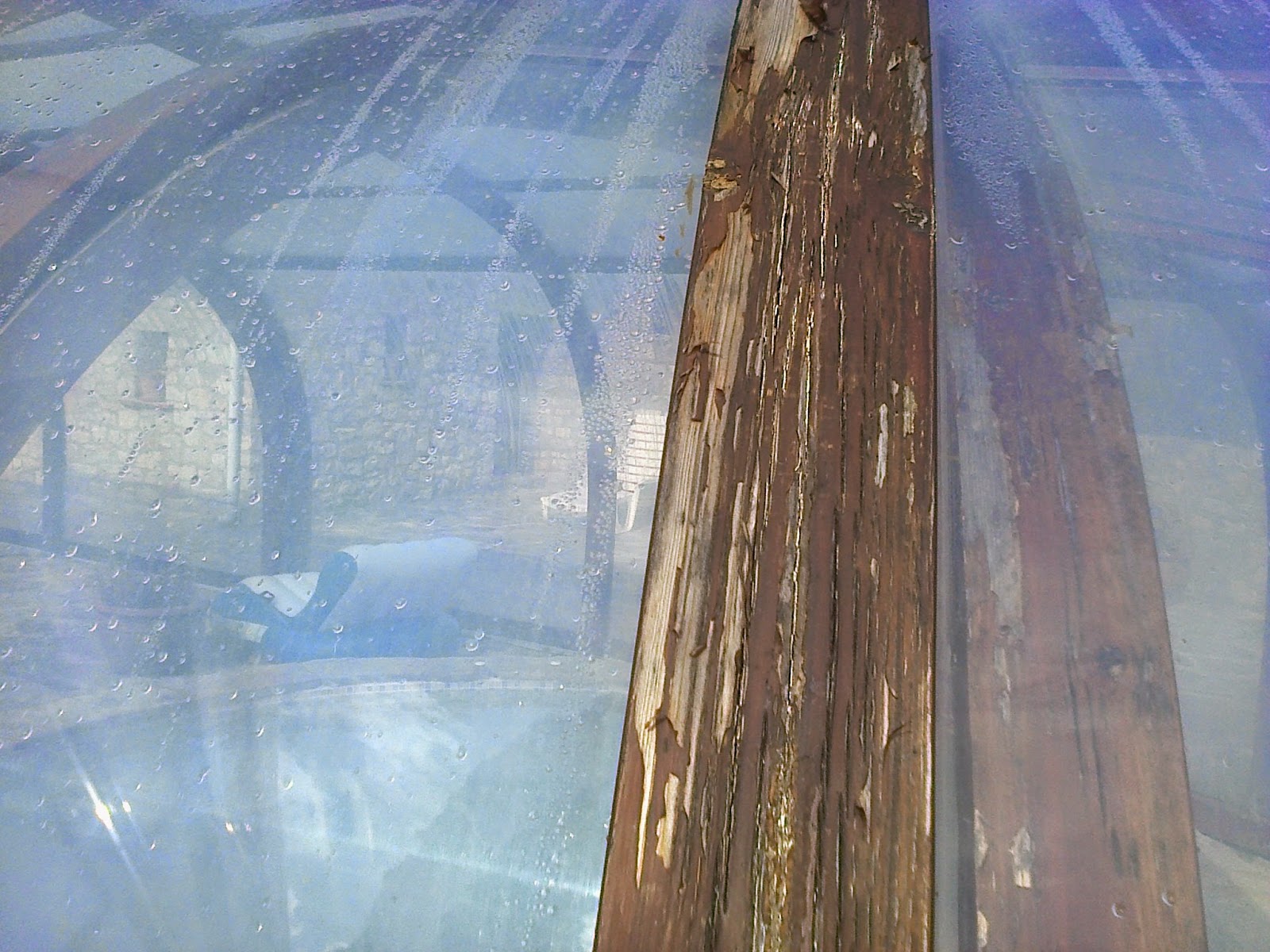 Anthony Roux - PEINTRE