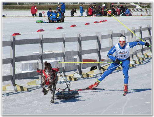 Minna Viide: Gallery