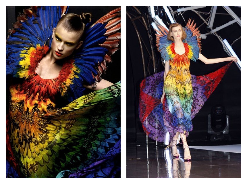 Designer’s Archive:Alexander McQueen’s Bird | Black Hex