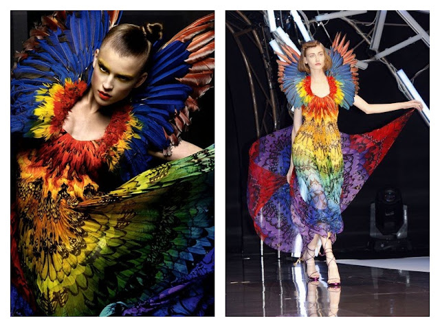 Designer’s Archive:Alexander McQueen’s Bird | Black Hex