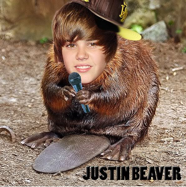 Justin Beaver... | Just Fun Zone