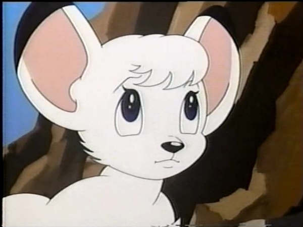 LA NUEVA CARAVANA: KIMBA